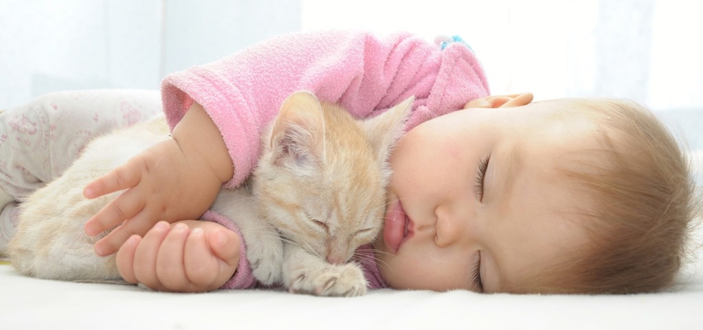 Baby und Katze - so wird's für alle kuschelig
