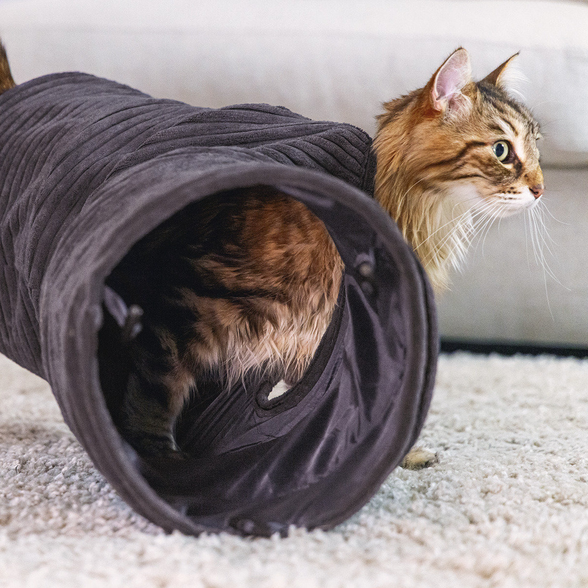 Katzentunnel Ribbed Anthrazit von Designed by Lotte | Mein Tierdiscount