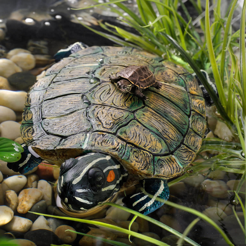 Exo Terra Turtle Islands Turtle