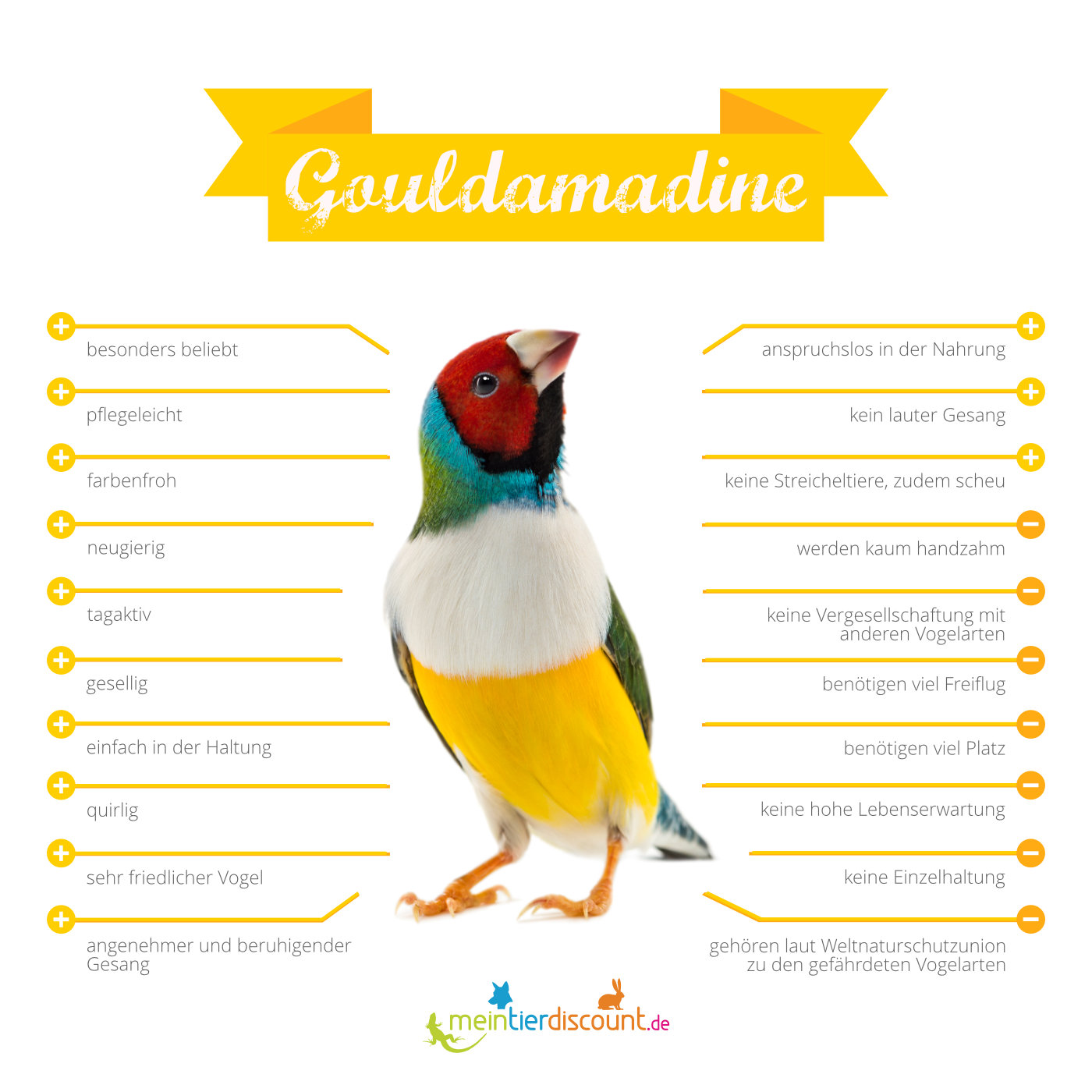 Gouldamadine