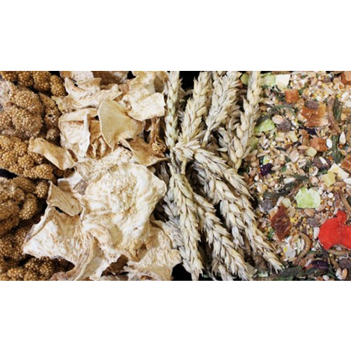 JR Farm Zwerghamster Adult Futter 6x500g | Hauptfutter