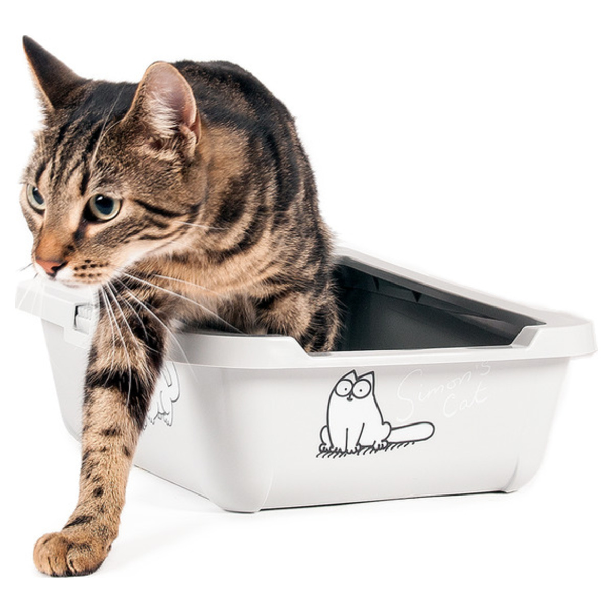Karlie Simons Cat Katzentoilette grau mit Rand