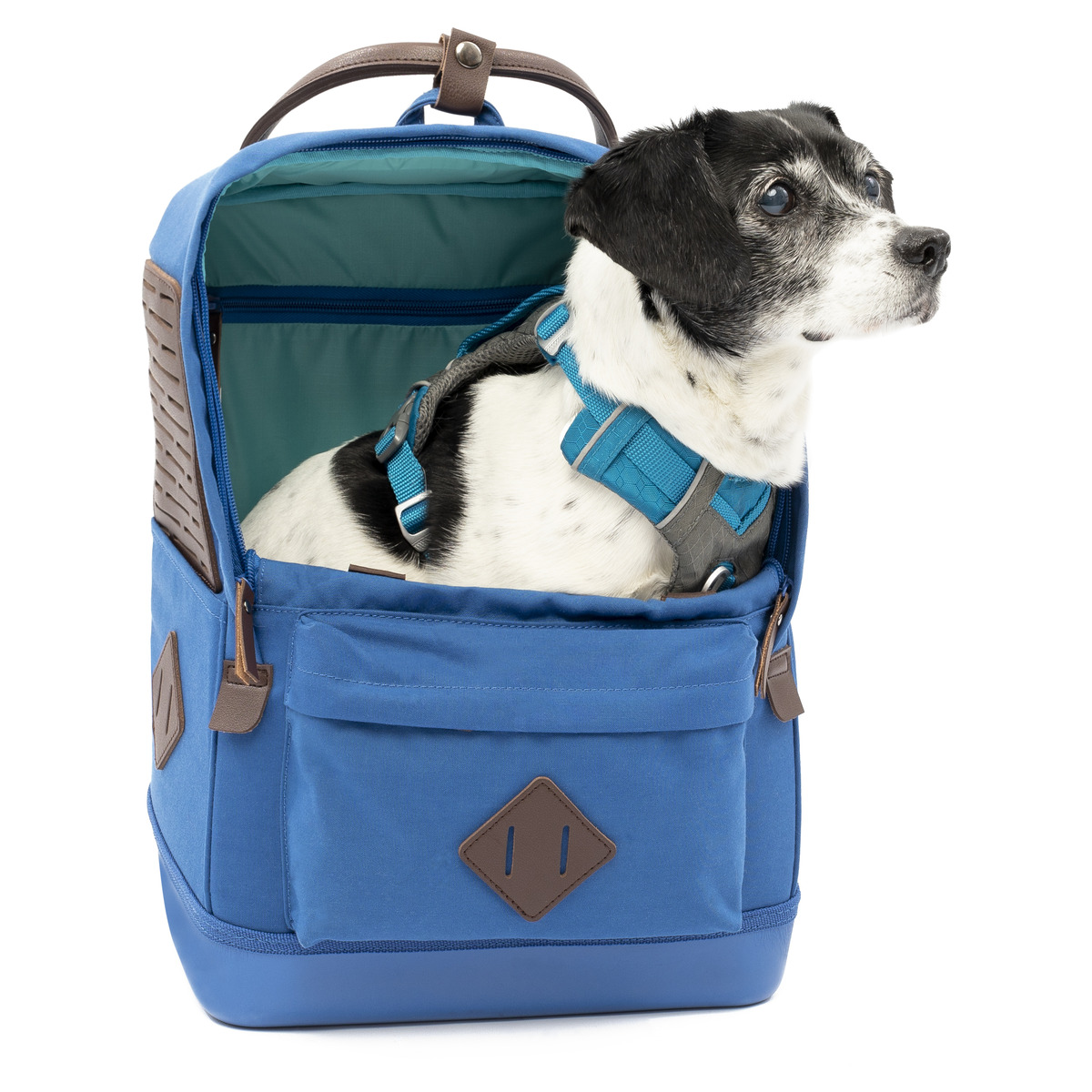 Kurgo Hunderucksack Nomad blau | Rucksack für kleine Hunde