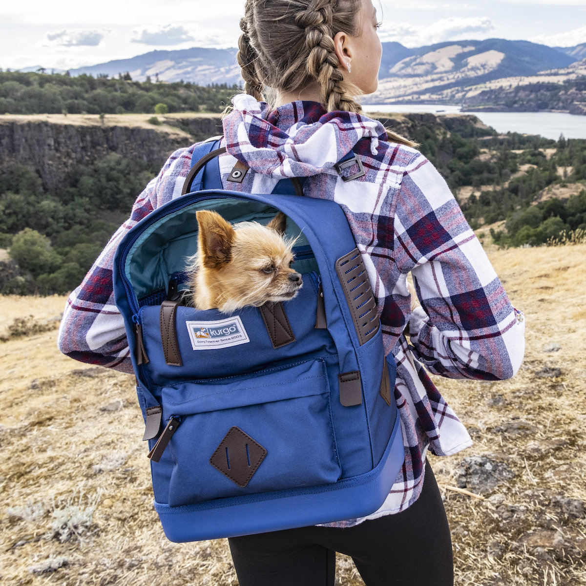 Kurgo Hunderucksack Nomad blau | Rucksack für kleine Hunde