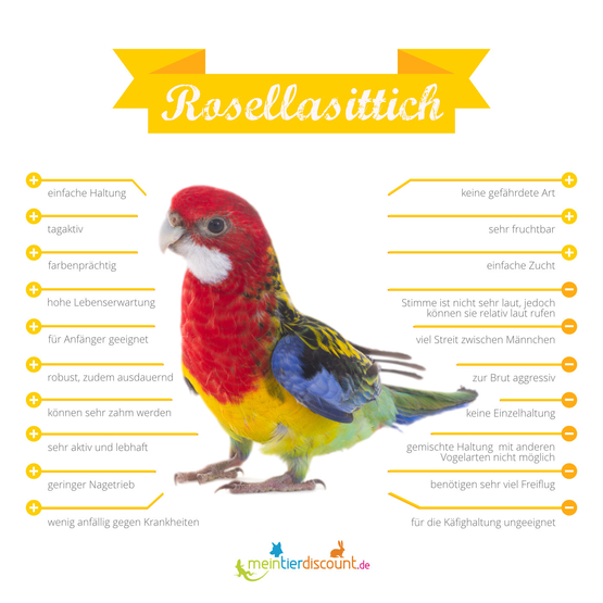 Tierlexikon: Infos & Ratgeber | Mein Tierdiscount