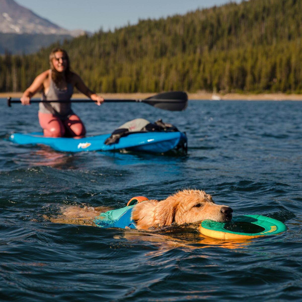Ruffwear Hydro Plane: Frisbee für Hunde | Mein Tierdiscount