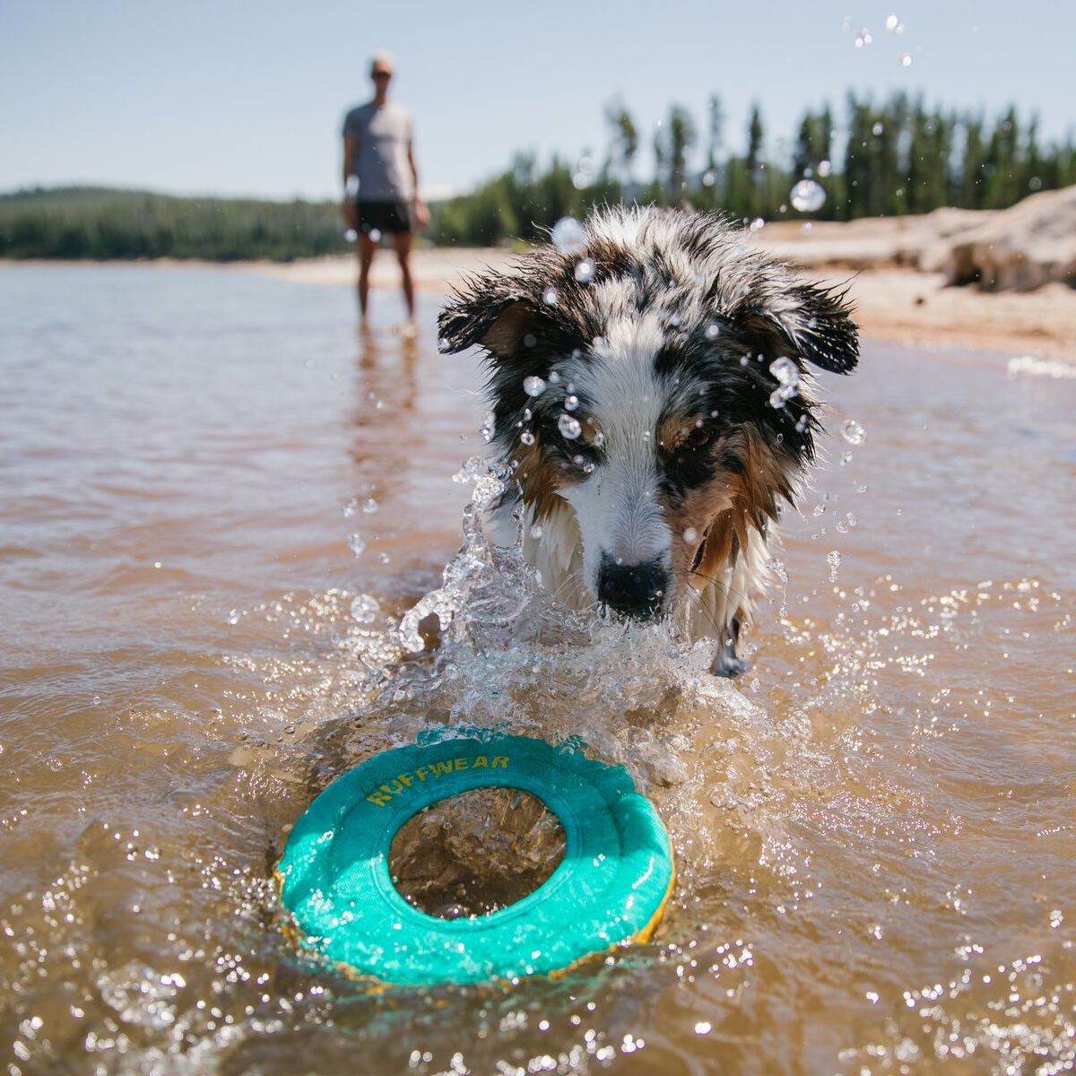 Ruffwear Hydro Plane: Frisbee für Hunde | Mein Tierdiscount