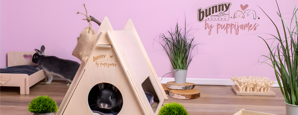 Ihr Online-Shop für Hunde- und Katzen-Zubehör & Futter