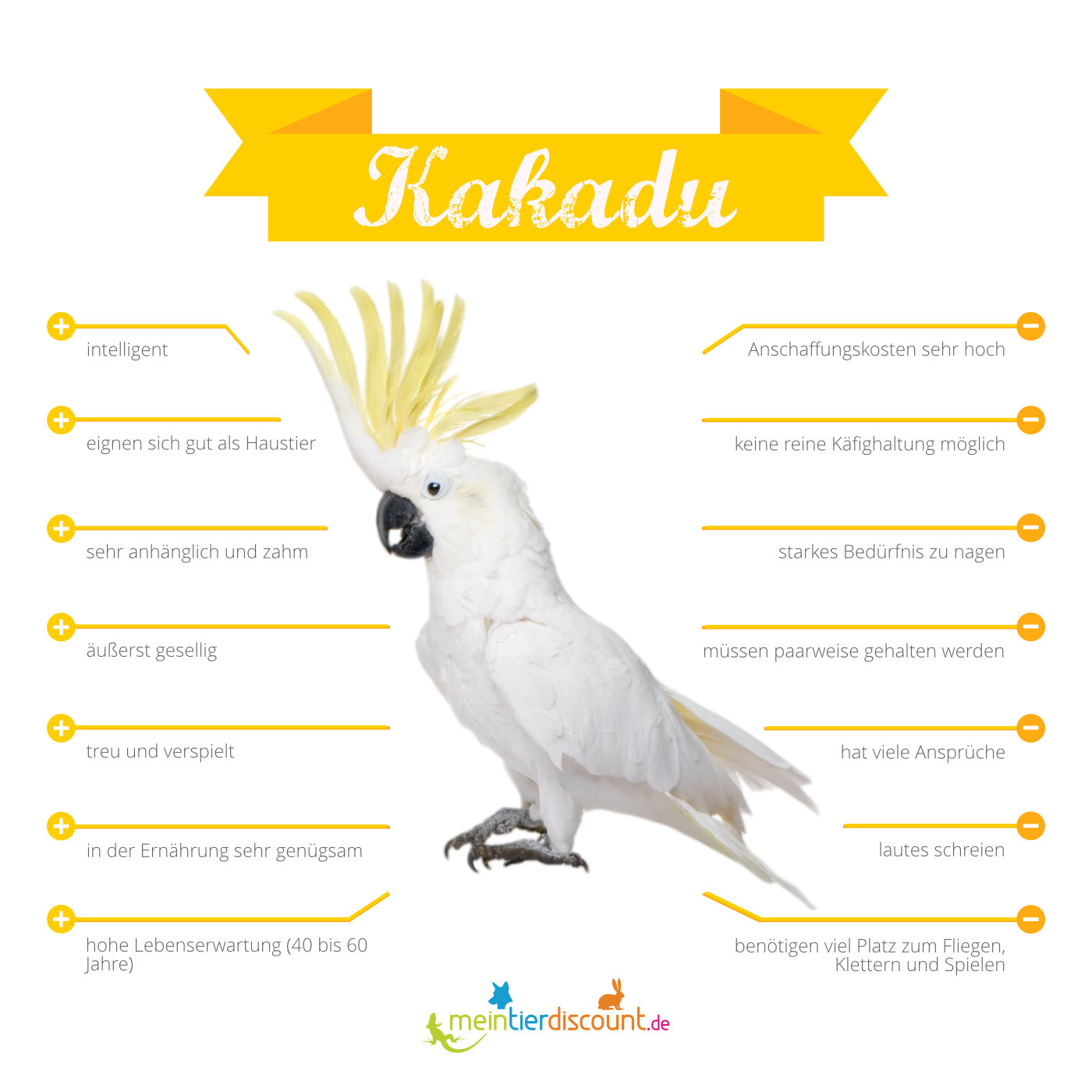 Kakadu